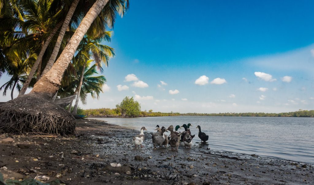 See Ghana. 11 breathtaking images showing Ghana’s beautiful landscape ...